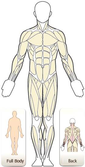 Specialist Directory - Saskatchewan Surgeons - Health - Government of ...